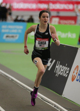 Emerging Elites - Ellie Shea